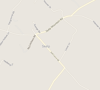 Skelp, Scalp, or Scalp Level?