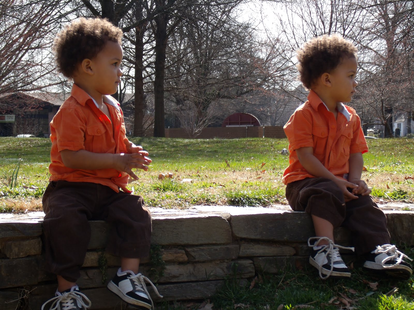 Our Vegan Pregnancy: Birthdays, Blood and Boo Boo Doctors...