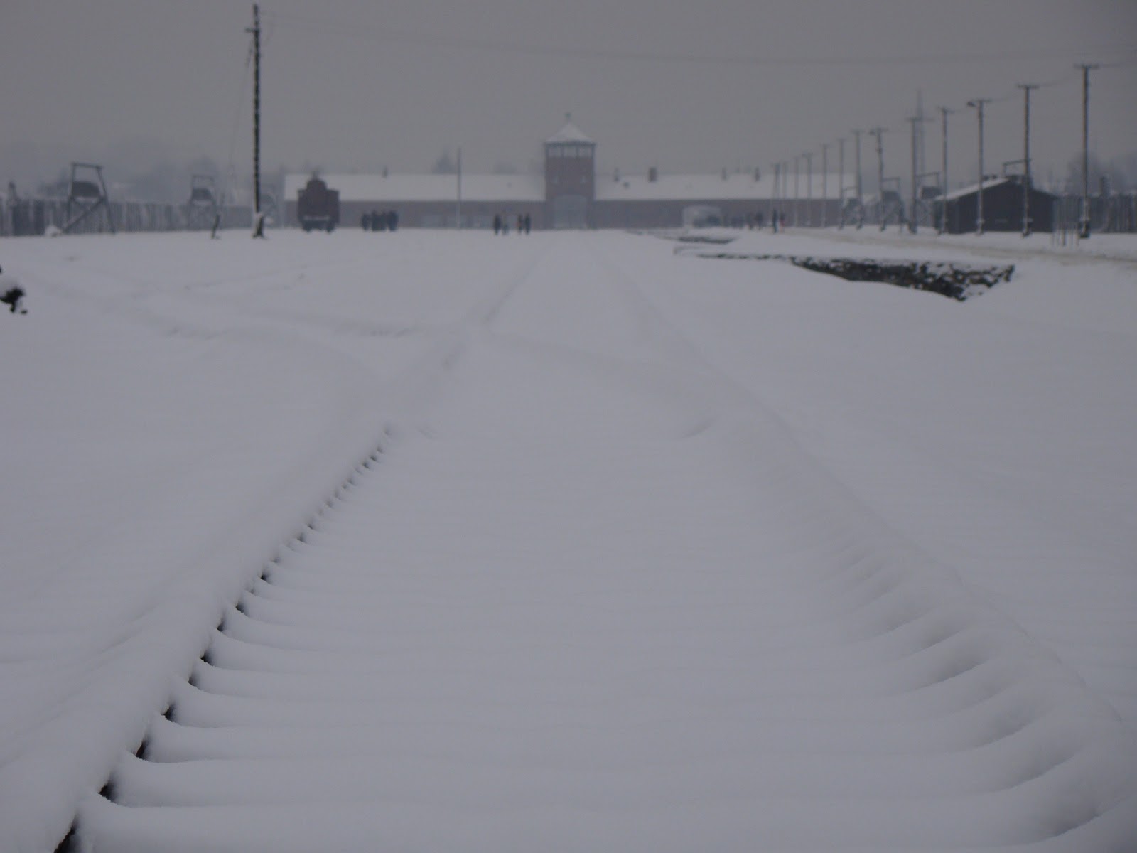 Auschwitz 2012: Auschwitz 2: Selection Ramp