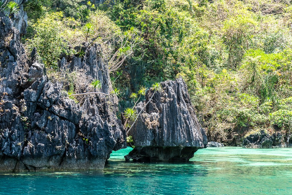 Philippines - jour 14 : Bacuit beauties - ascenseur émotionnel [Expé. #1]