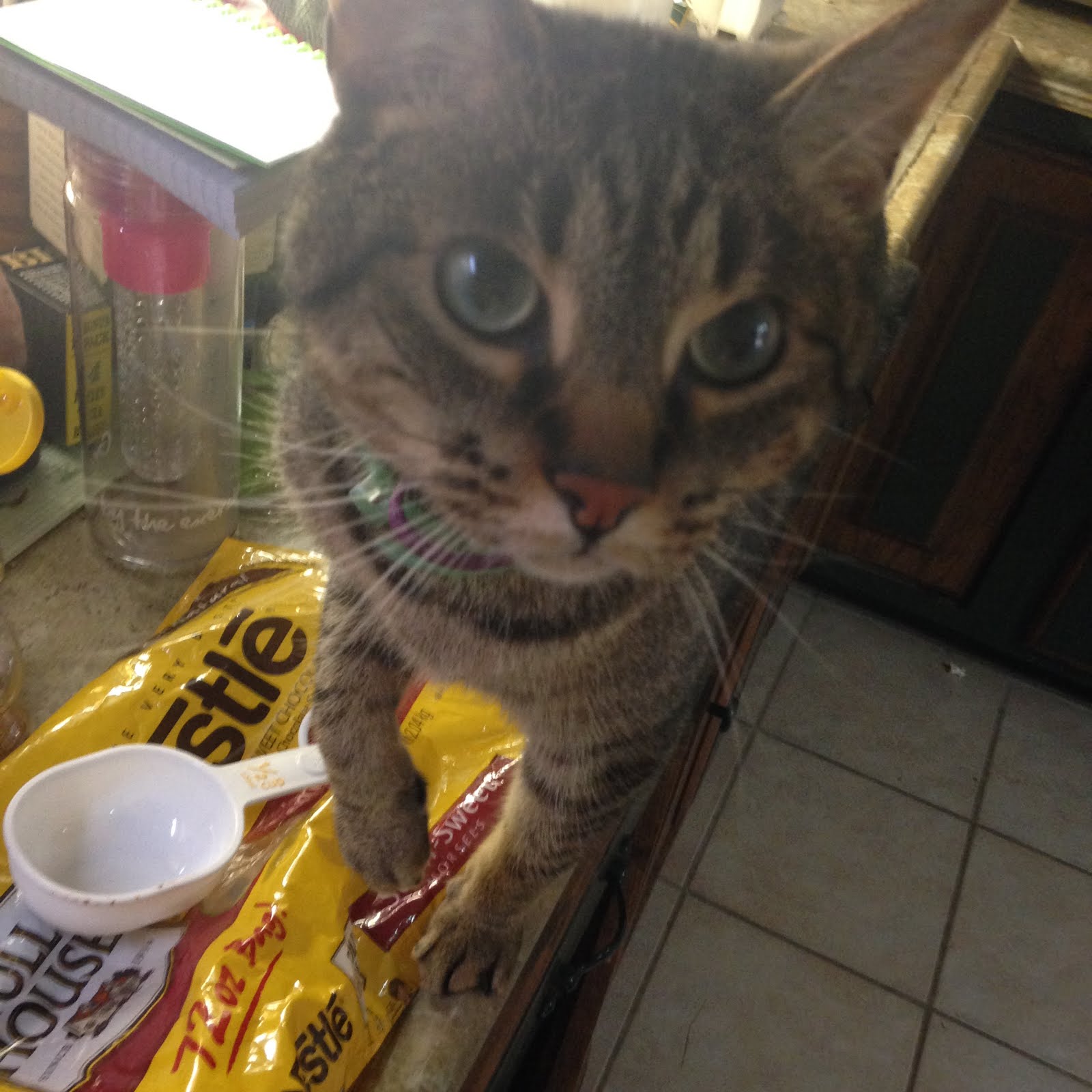 Ultimate List: What to Bring to Warped Tour