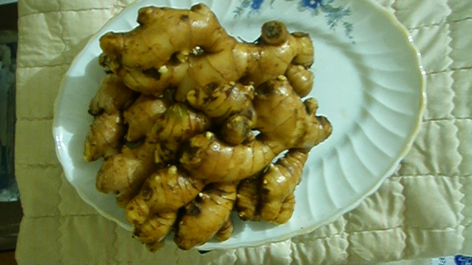 kebun jahe nusantara: TEKNOLOGI BUDIDAYA JAHE VERTIKULTUR