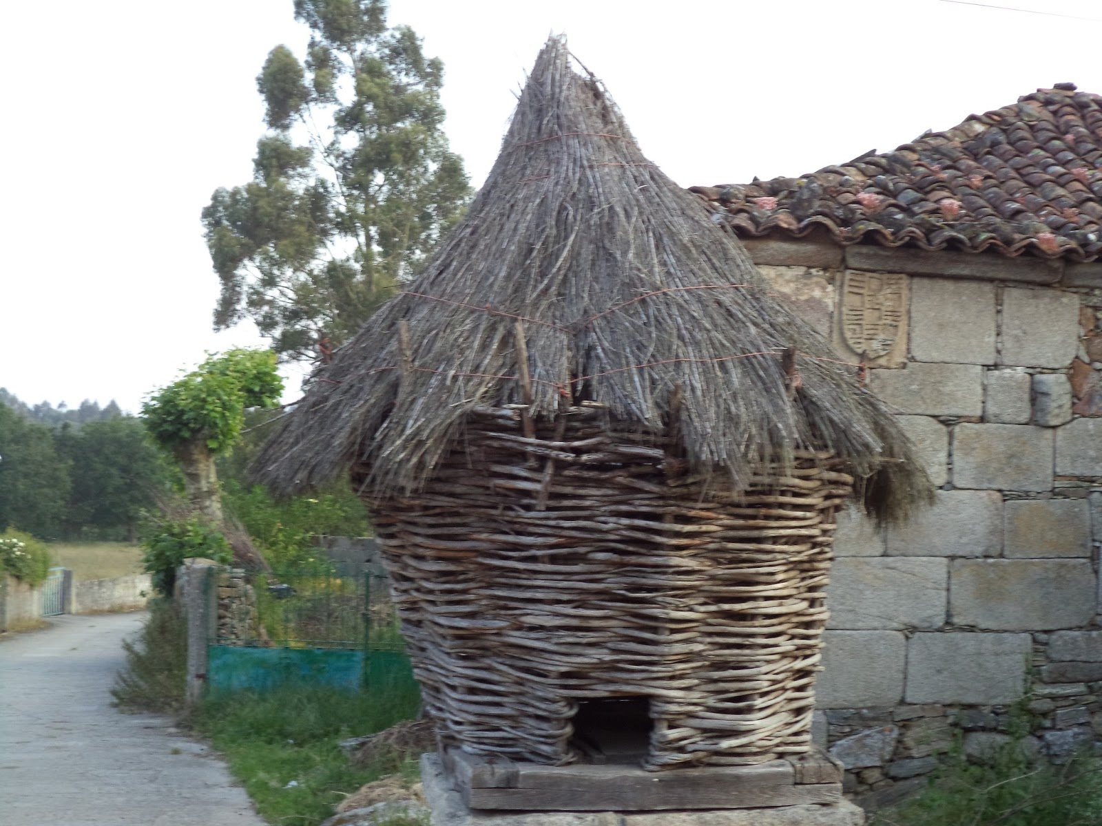 Escenas: Etapa 9, de San Xiao do Camiño a A Salceda