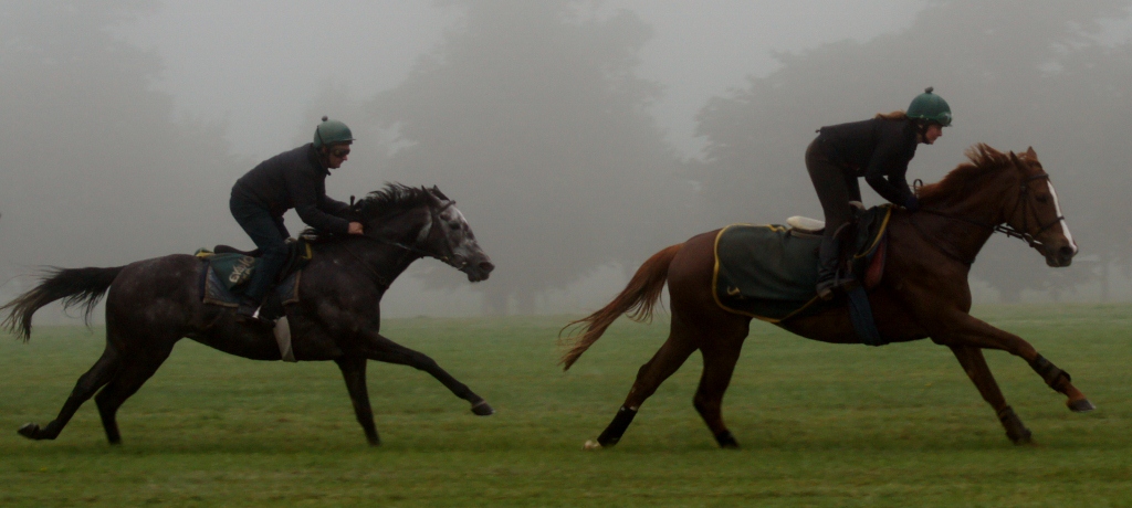 Julia Feilden Racing