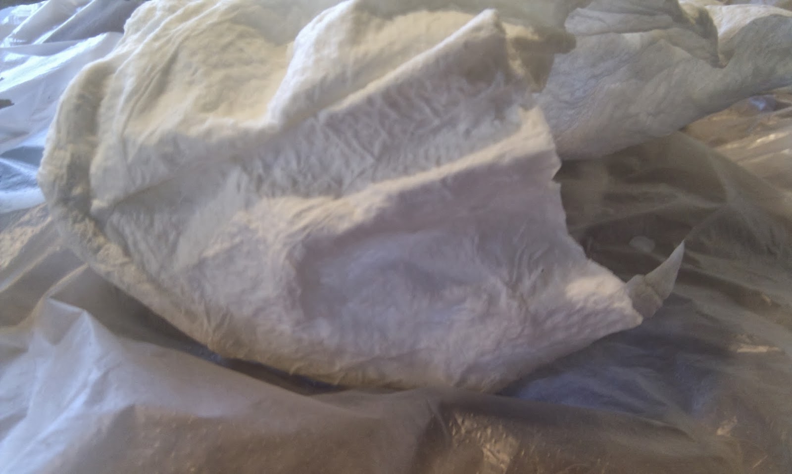 I finished the dragon wings