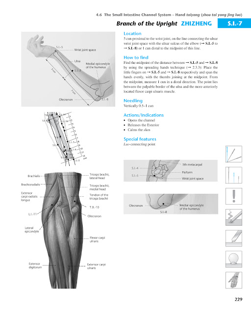 Acupuncture Masters: Acupuncture Points Database - Small Intestine Channel
