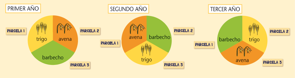 DE HISTORIA y SOCIEDAD