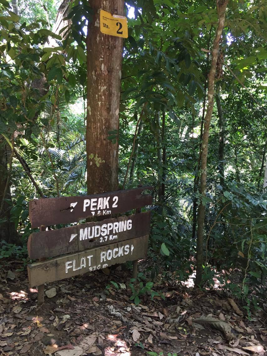 Kids more fun in the Philippines.: Mount Makiling Trail with kids