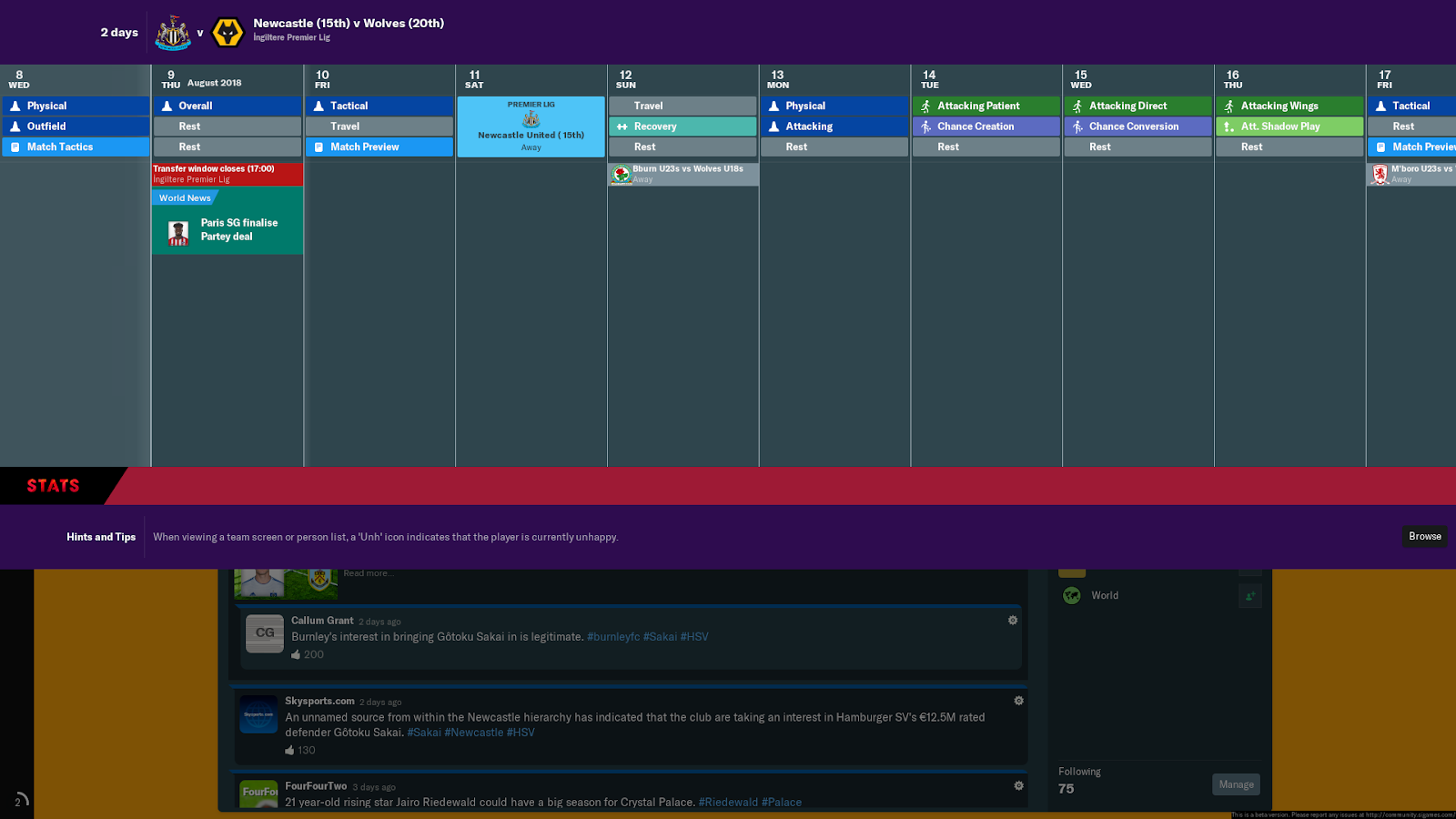 DF11 Base FM 2019 Skins | FM Blog | FM24