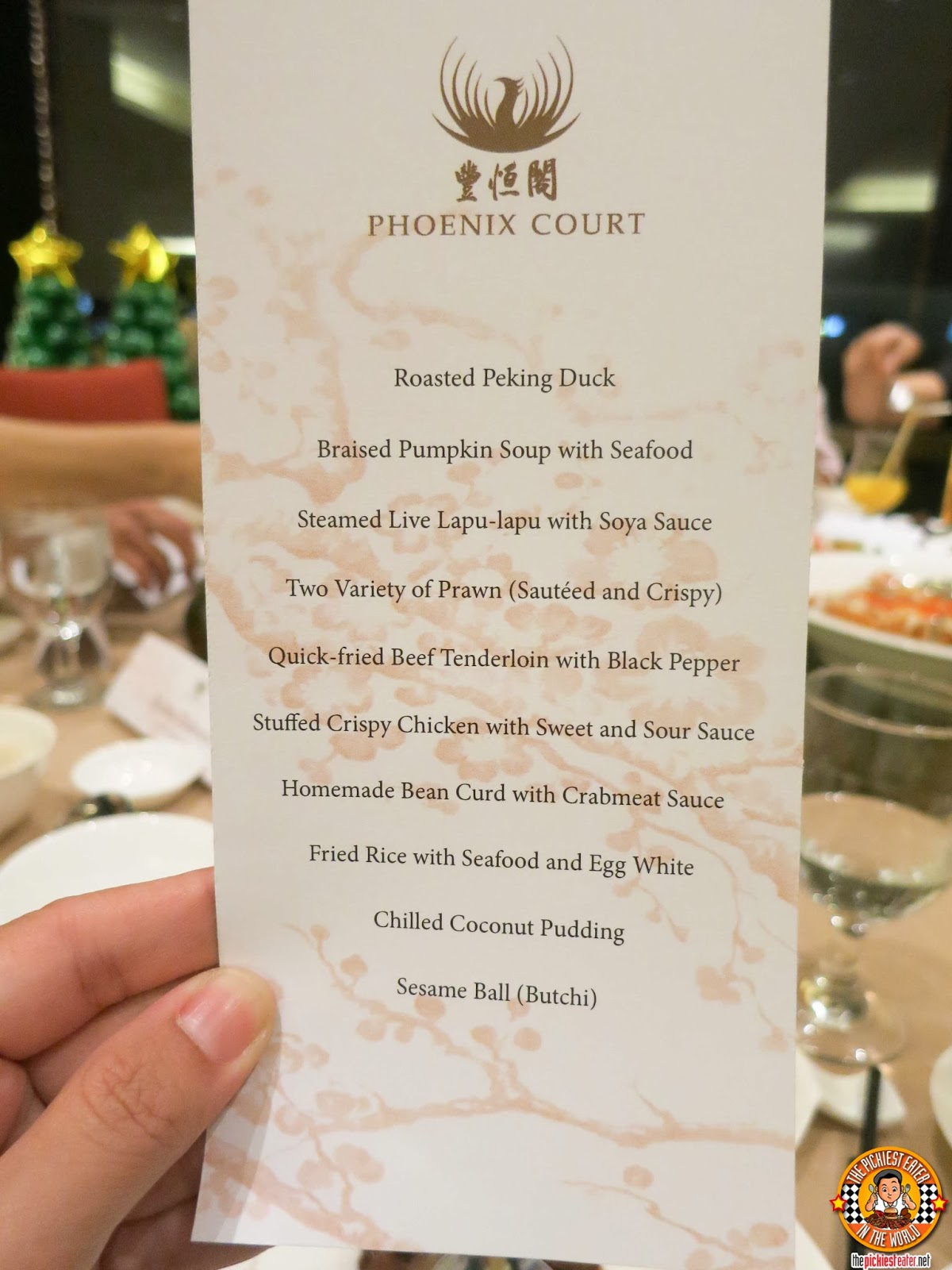 THE PICKIEST EATER IN THE WORLD: BACK IN SESSION AT PHOENIX COURT!