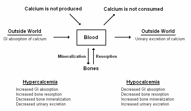 Medical Lecture Notes Online: Disorders of Calcium and Phosphate Metabolism