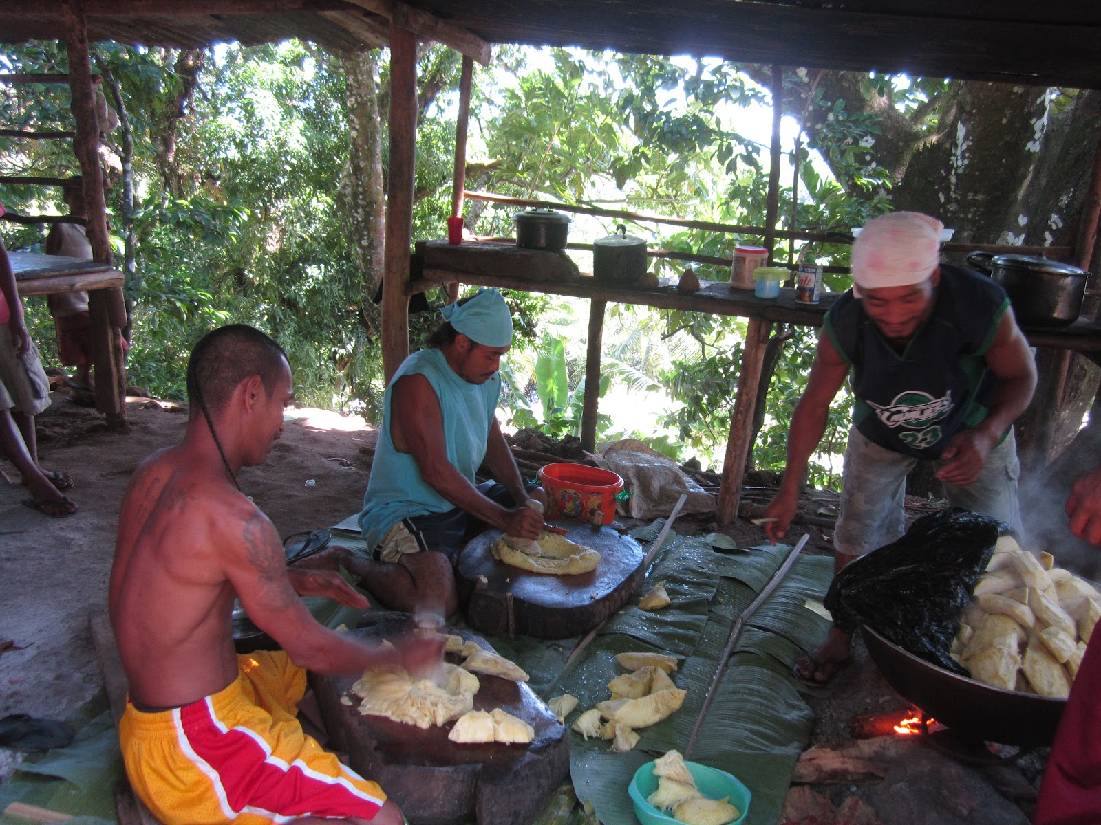 Tiffany's Micronesia Island Adventures : In the Beginning...