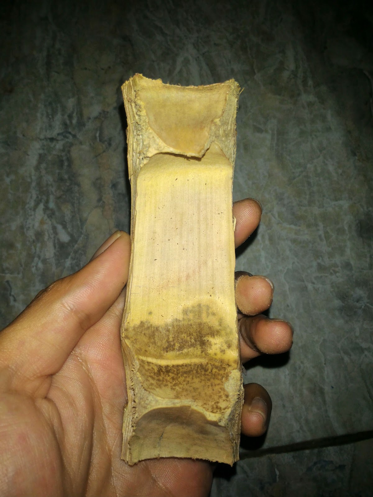 Dimaharkan Bambu Petuk /Pethuk Asli