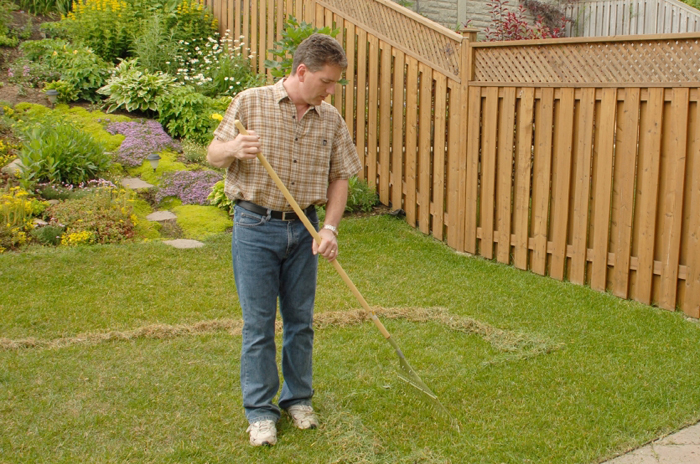 Lawn Thatching Guidelines - Best Manual Lawn Aerator
