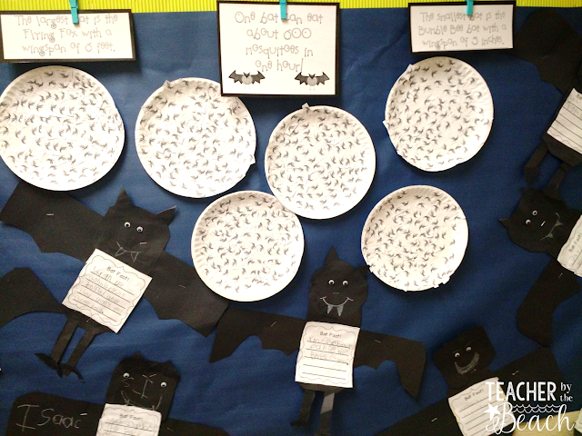 Bat Week - Teacher by the Beach