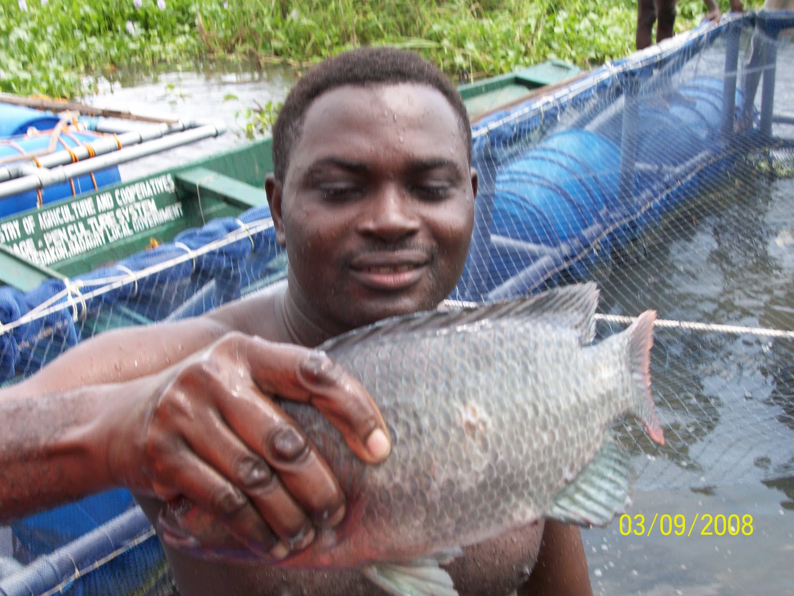CAGE AND PEN FISH CULTURE IN NIGERIA -GANZALLO TAIWO 08034545145