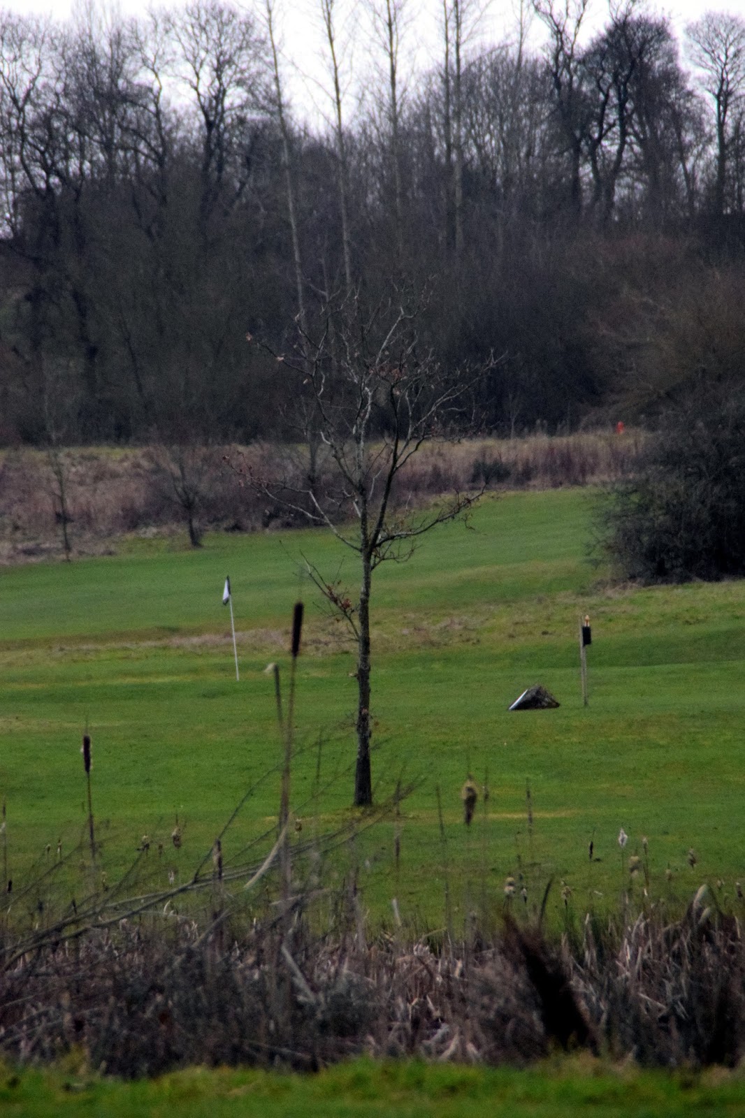 Enjoy your time with beautiful places: Hellidon Lakes and village