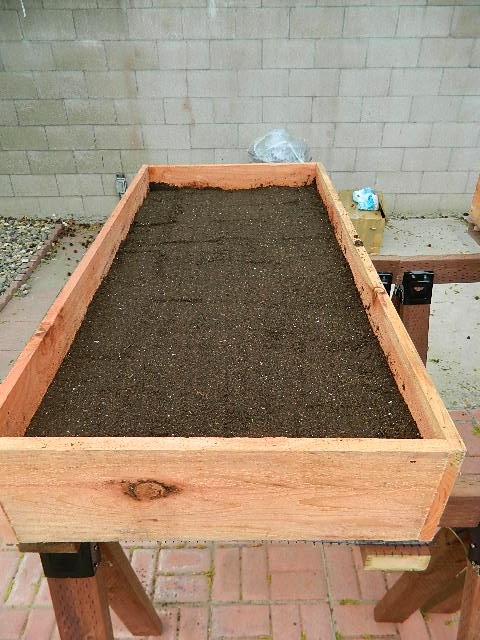 Pushing the Rose Envelope: Seedling tables