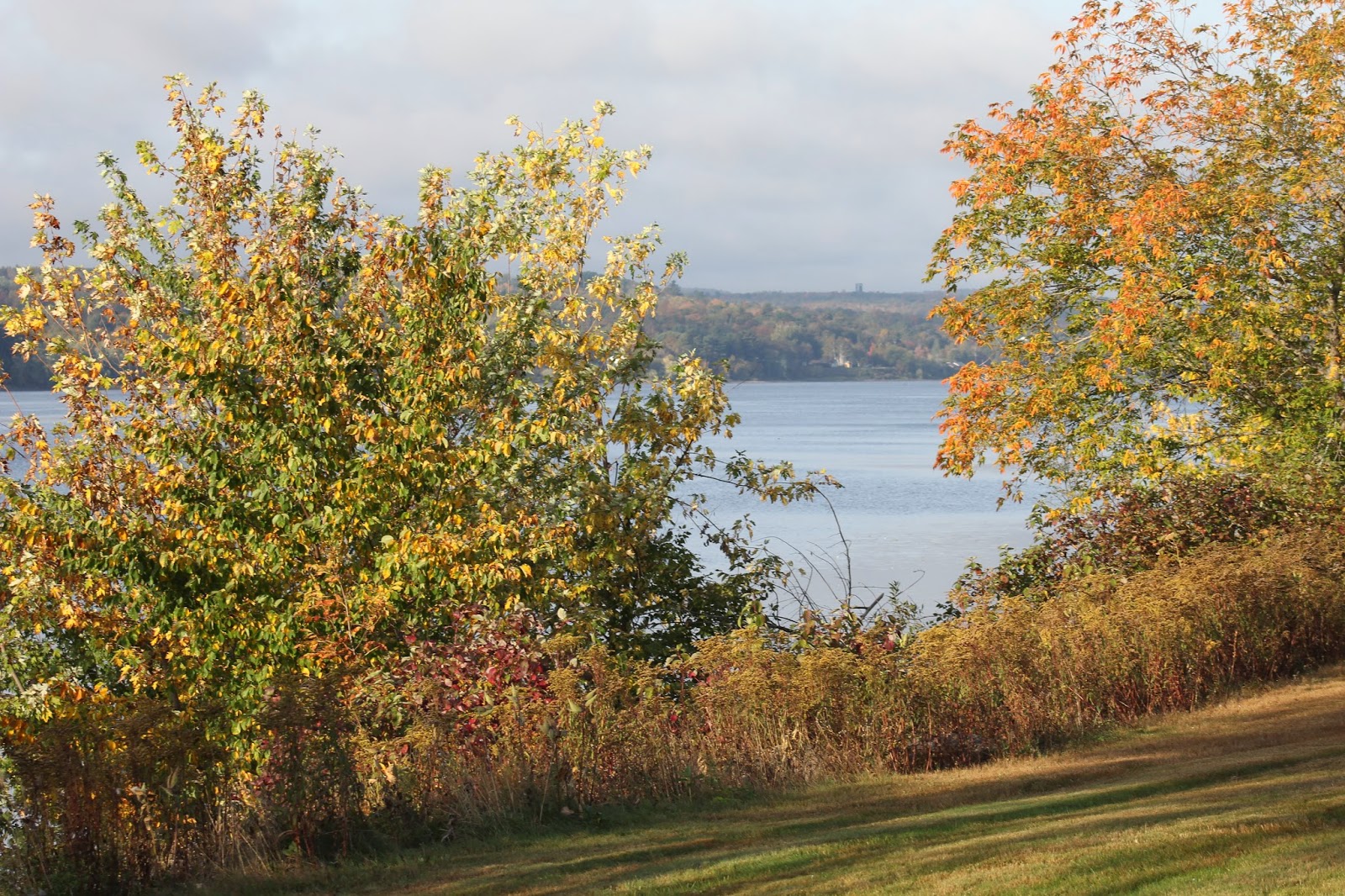 Facing Autism in New Brunswick: October 2014