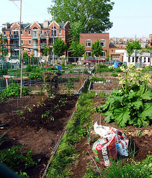 THOUGHTS ON ARCHITECTURE AND URBANISM: Advances on urban gardens in USA