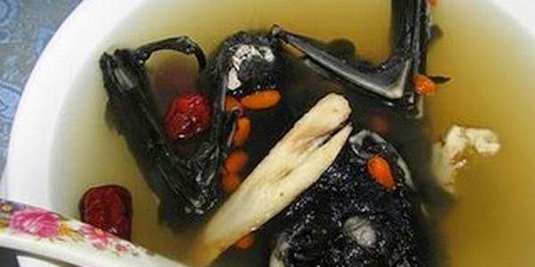 quesos, cosas y casas: LAS 7 COMIDAS MAS ASQUEROSAS DEL MUNDO