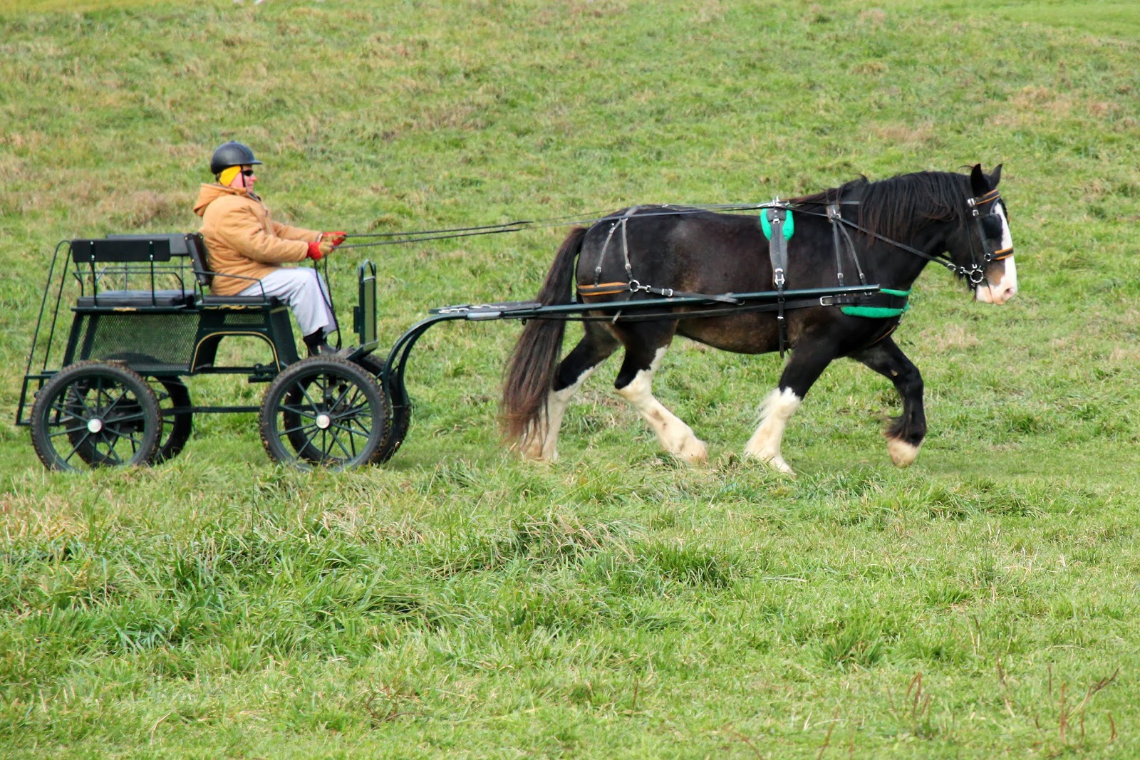 JD @ Christieview Farm