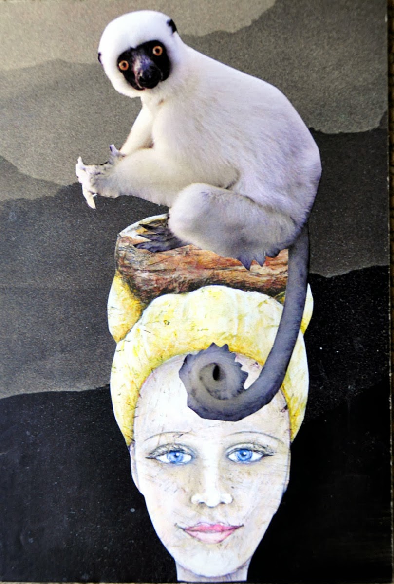 A Photographic Sage: The A, B, C's of Contemplative Photography - V