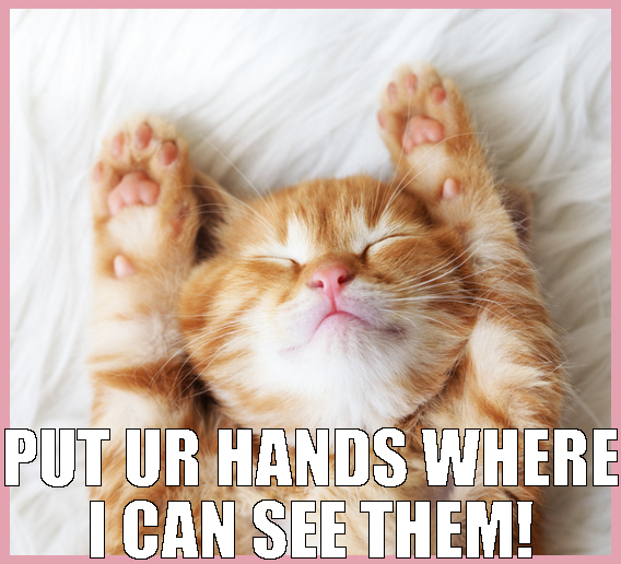 Great Cats Be Funny BLOG: July 2016