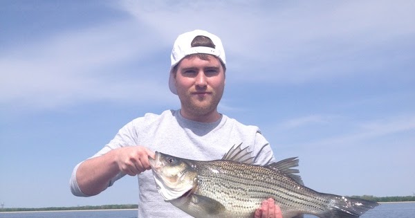 Capitol Outdoors - Illinois' Hunting and Fishing Resource: Top Fishing ...