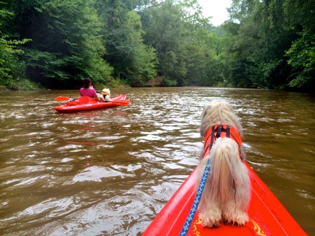 To Dog With Love: How to Kayak With Your Dog