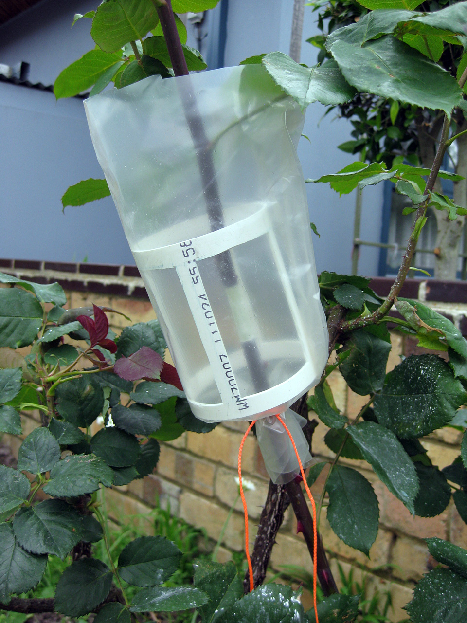 Air Layering Equipment at Sally Hyland blog