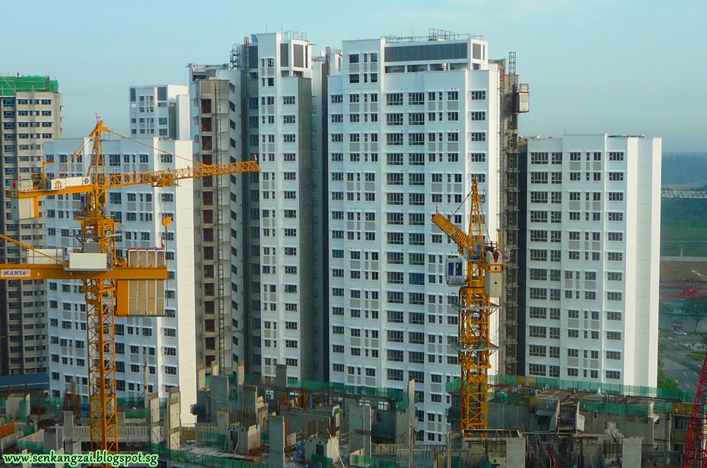 Zai@Sengkang: Fernvale Ridge Snapshot (Completed)