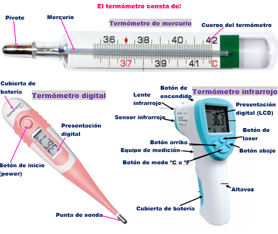 PRIMEROS AUXILIOS Y BÁSICO EN ENFERMERÍA: TEMPERATURA Y PARTES DEL ...