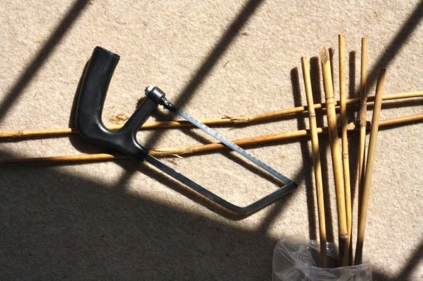 DIY: triangular trellis for tomato vine support