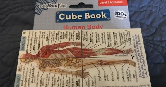 Cummins Life: Timberdoodle's Human Body Cube Review