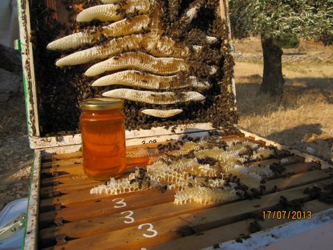 ΜΕΛΙΣΣΟΚΟΜΙΑ ΝΑΞΟΥ-NAXOS BEE