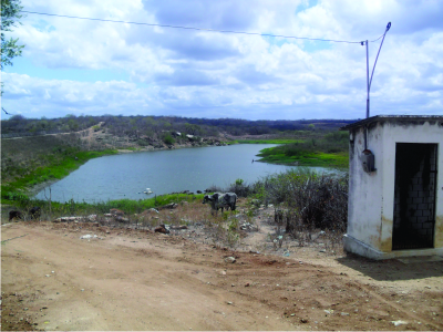 Juá Online - O Site do Juá!: FOTOS