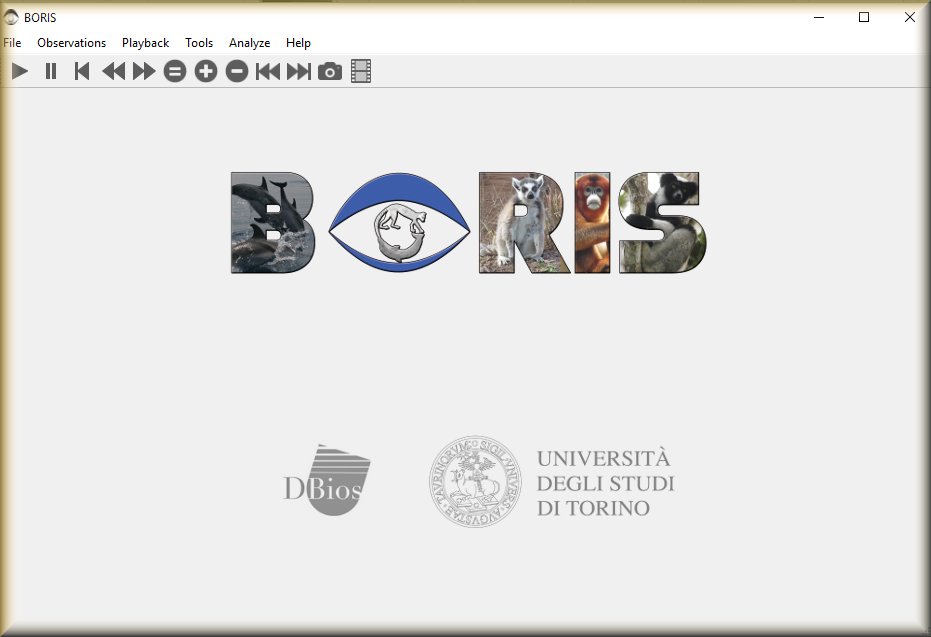 Metodología Observacional: febrero 2016
