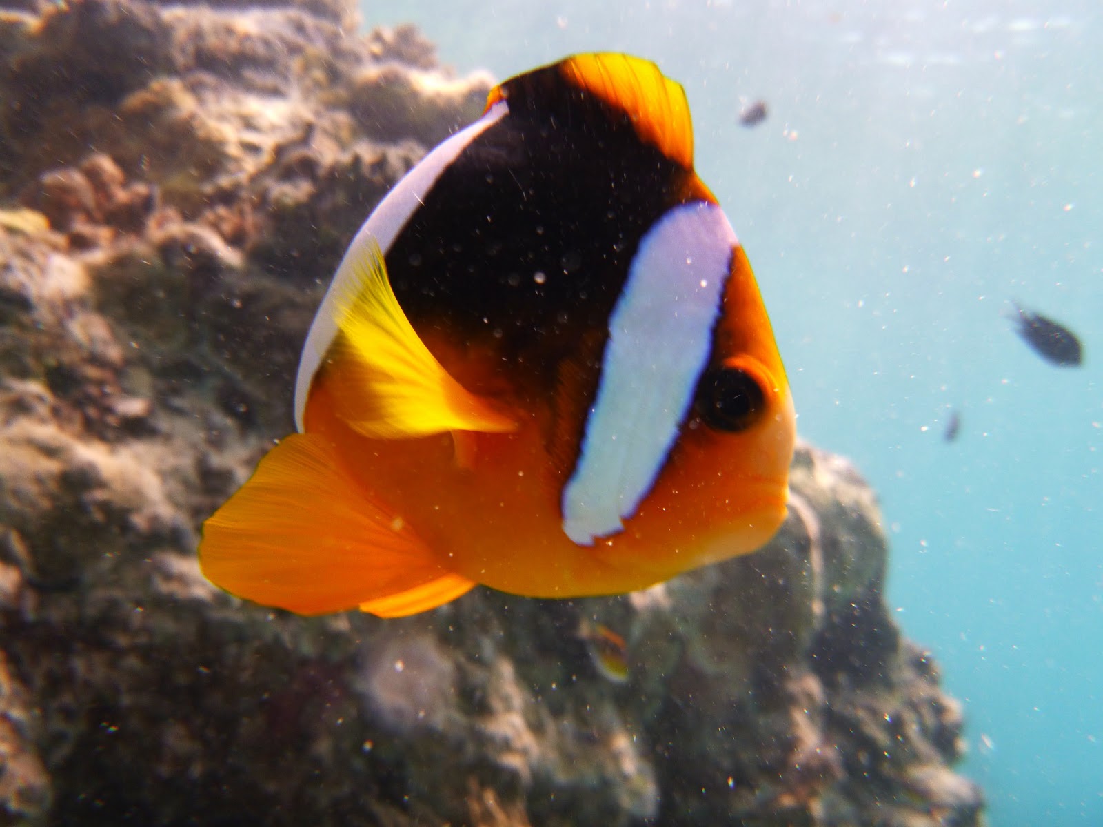 GeoNet - Shaken not stirred: Exploring Vanuatu