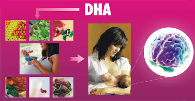 DIET WHAT IT REALLY MEANS!!!!!!!!: DHA in pregnancy and lactation