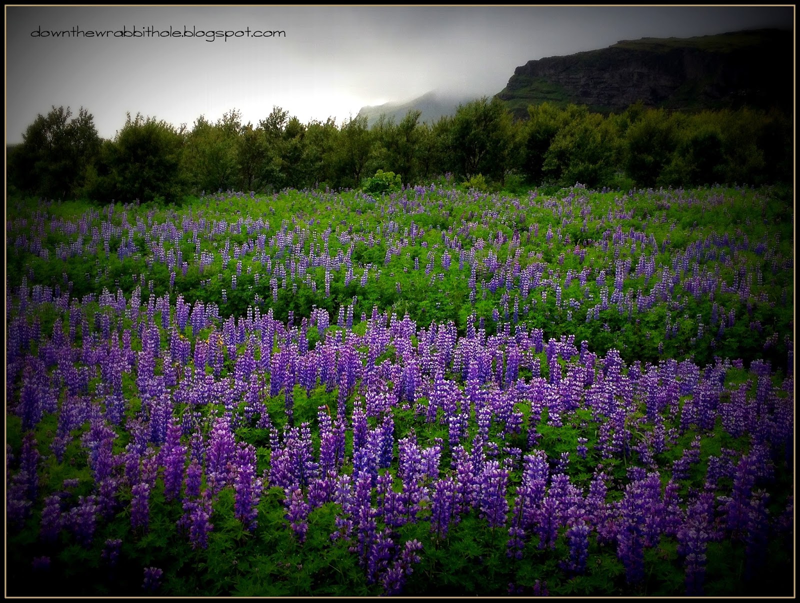 Down the Wrabbit Hole - The Travel Bucket List: Tour Iceland's Golden ...