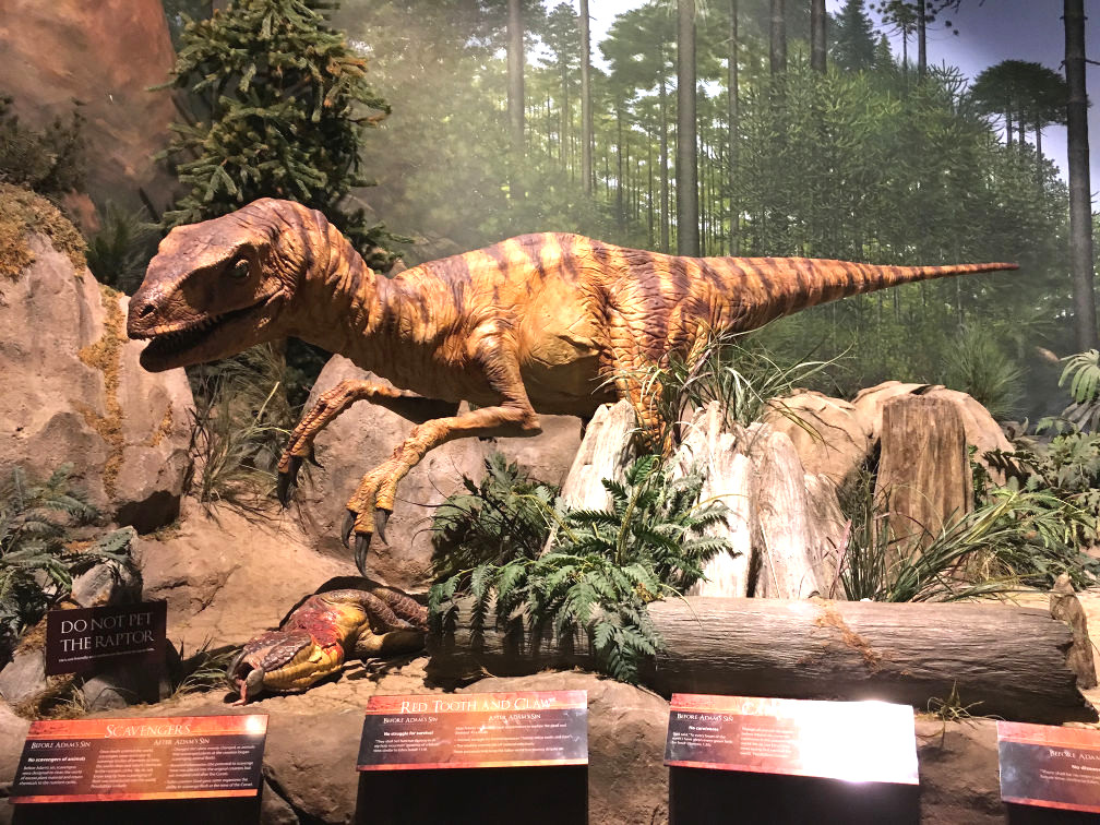 Secular Perspectives: The Creation Museum & Ark Encounter