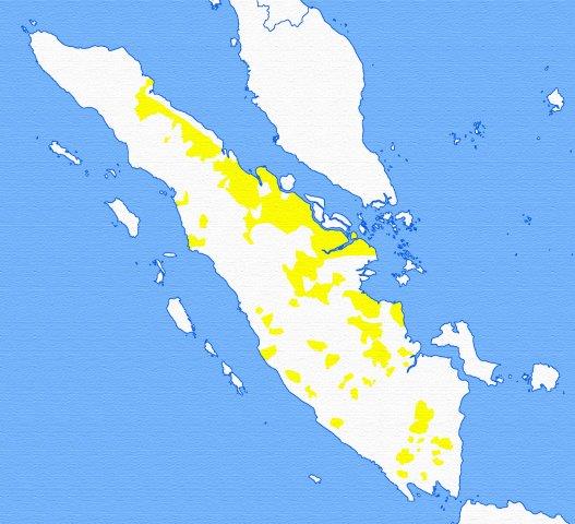 Friends of Sumatra: Transmigrant Javanese People Group Profile