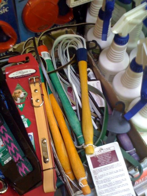 Fessécriture: Histoire illustrée du Martinet