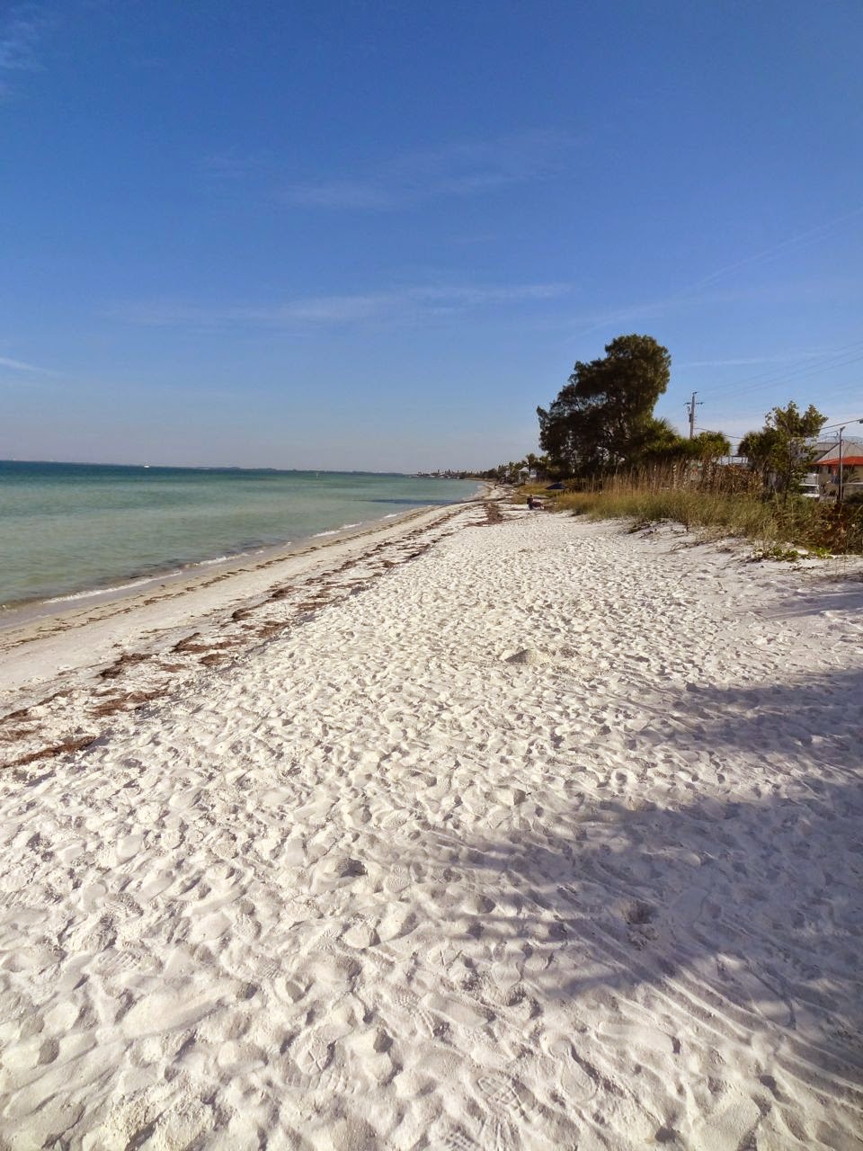 Scrumpdillyicious: The Waterfront Restaurant on Anna Maria Island
