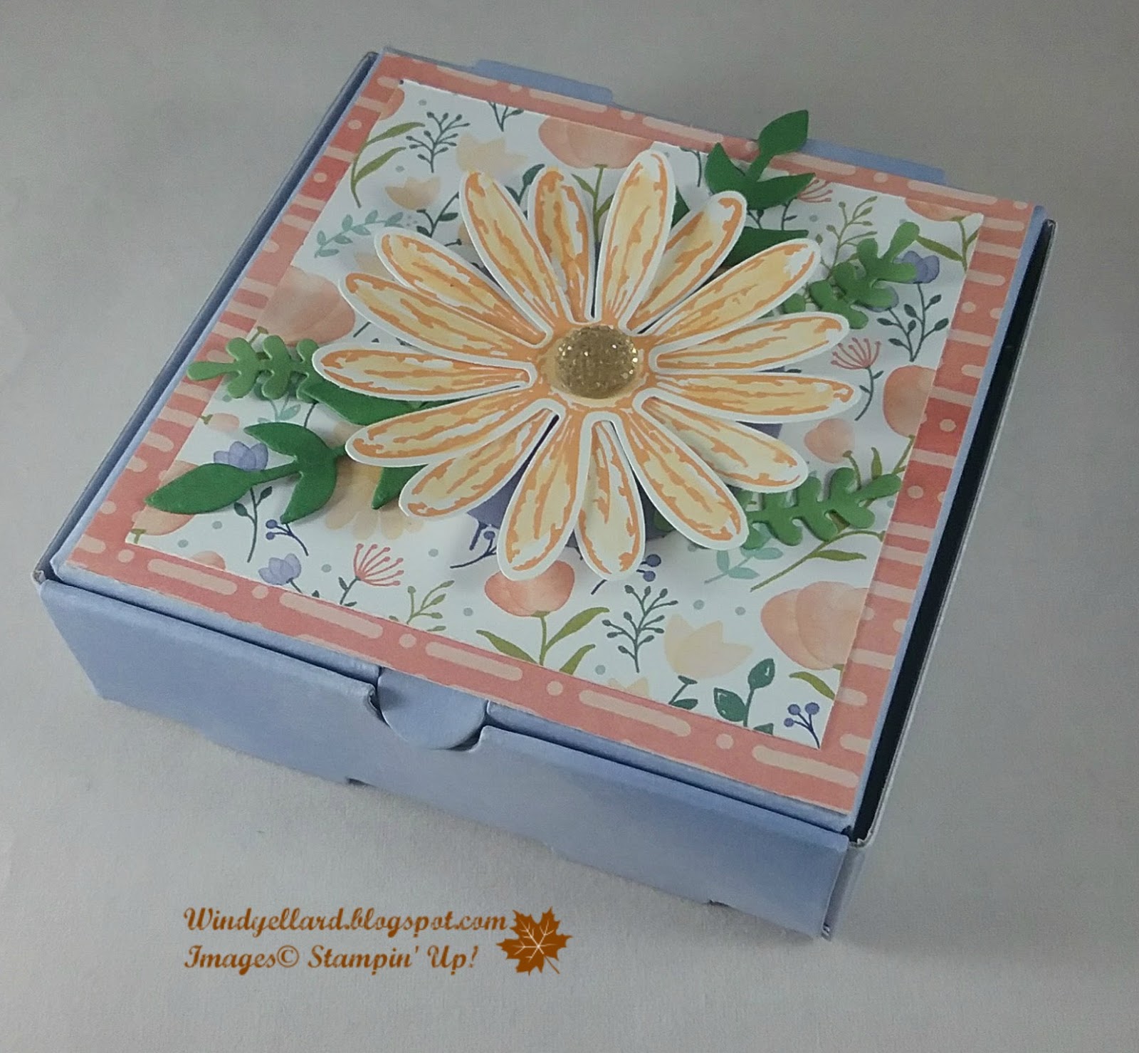 Windy's Wonderful Creations: Daisy Birthday Box