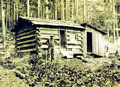 West-Native American Experience: The Homestead Acts