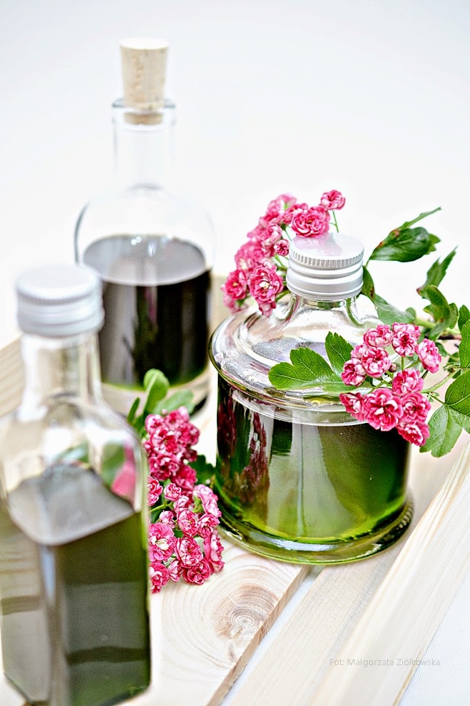 Home made czyli oliwa bazyliowa! | Smaki Alzacji