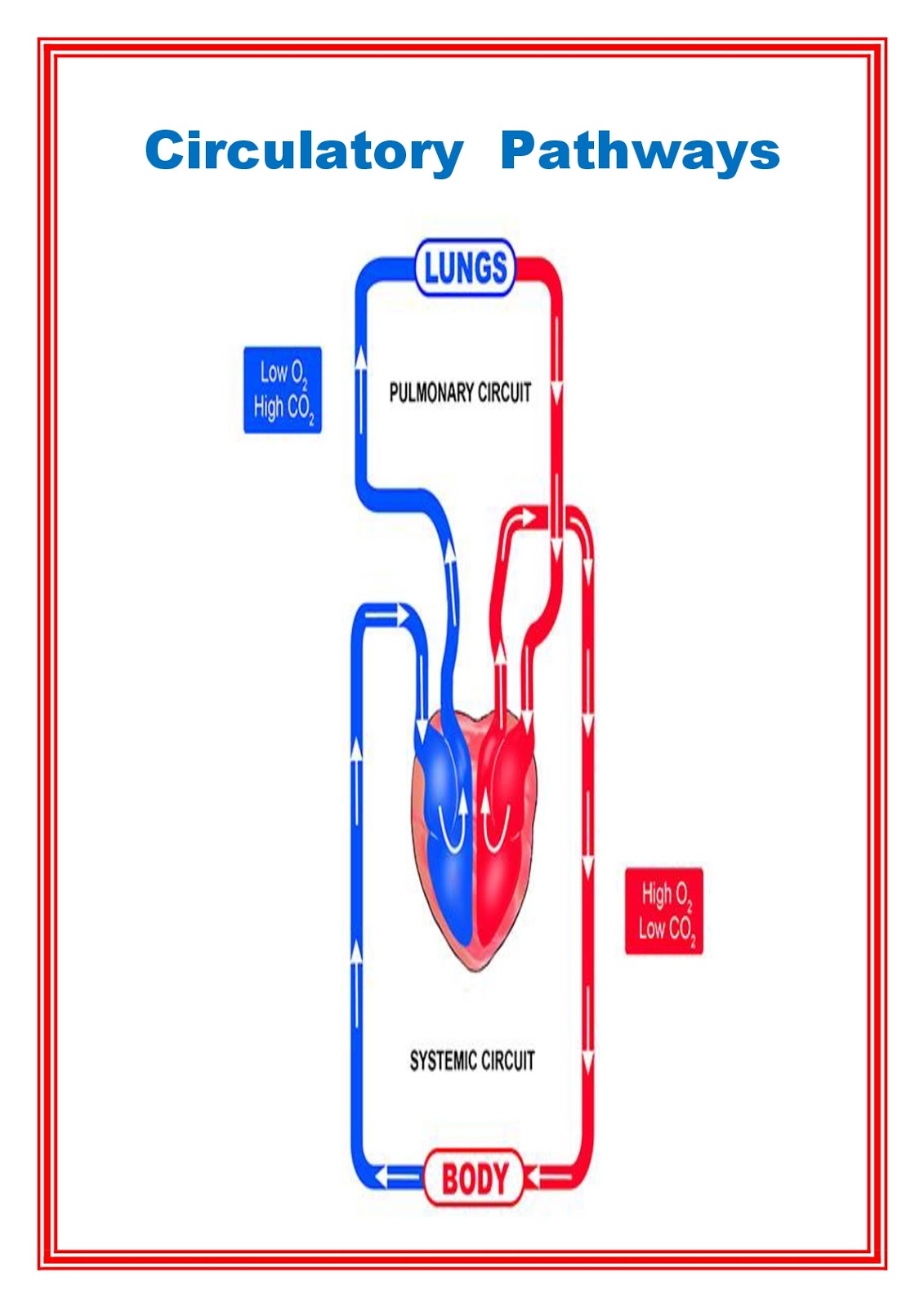 Learning Experiences: noviembre 2018