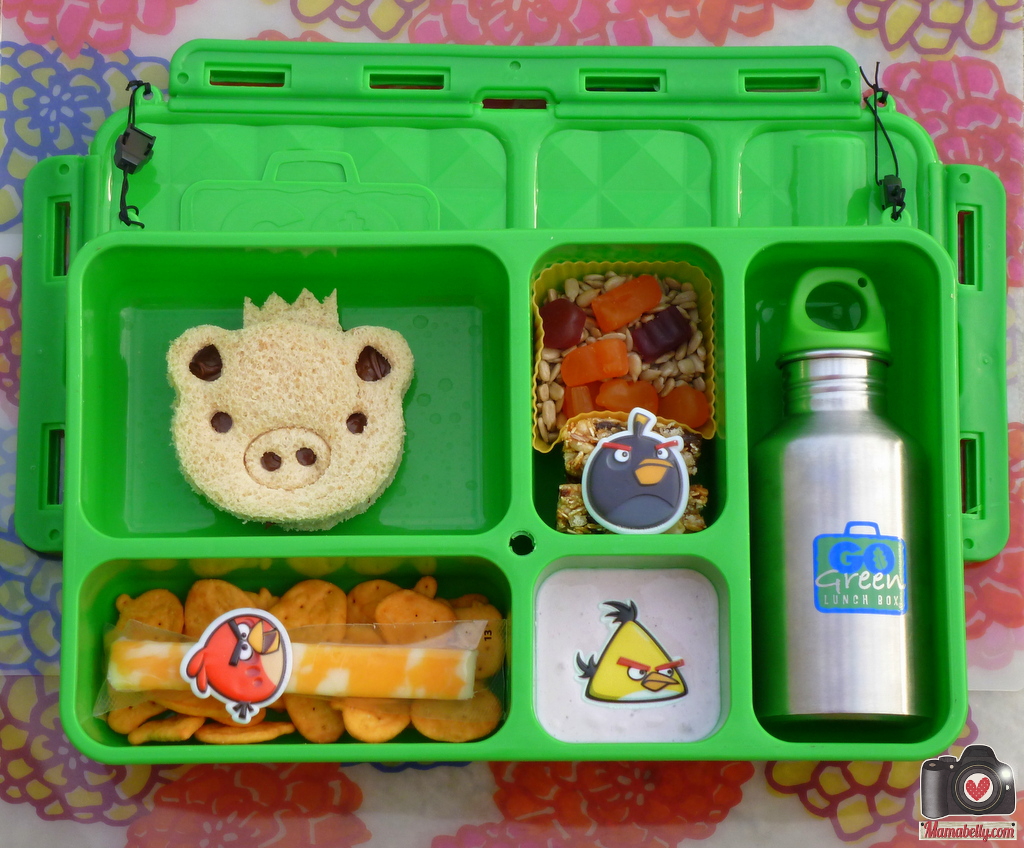 Mamabelly's Lunches With Love: Go Green Lunch Box Review